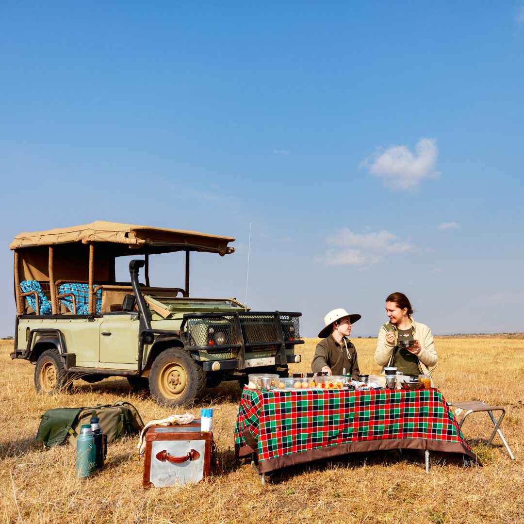 Safari Tour Packages for Memorable Adventures archivos | Knap Tours ...
